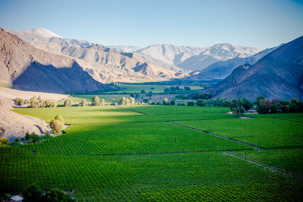 Valle de Copiapó - Chile es TUYO