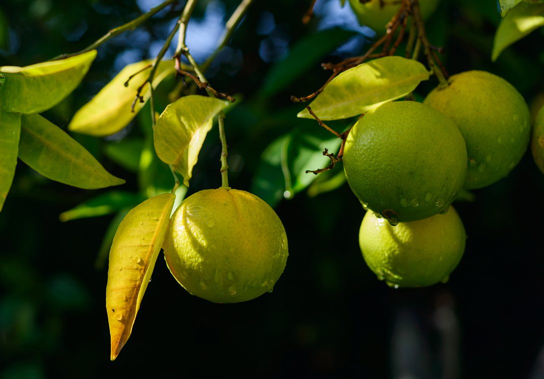 Región de Tarapacá: Turismo y aventura | Chile es Tuyo