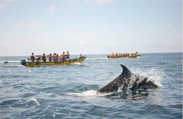 punta de choros - Chile es TUYO