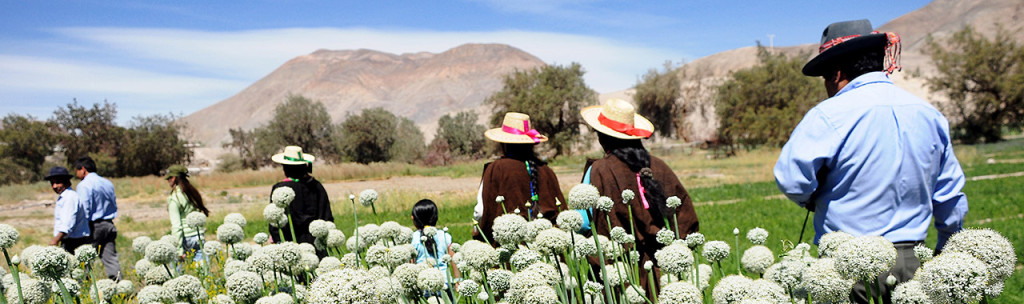 destino-huara-slider - Chile es TUYO