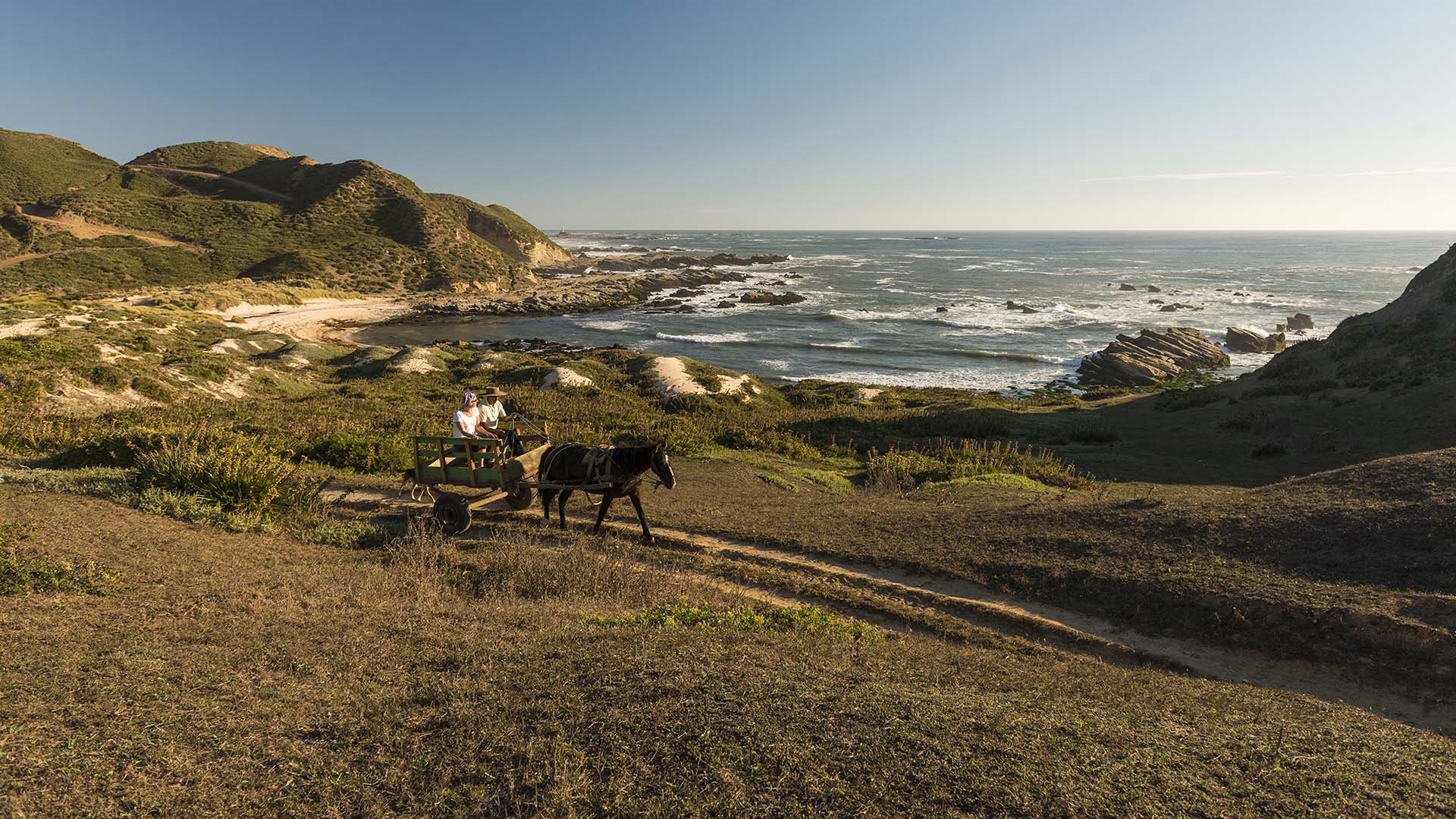 isla_mocha - Chile es TUYO