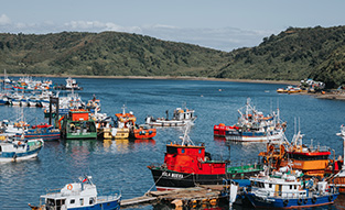 Región de Los Lagos: Maravillas y magia del sur | Chile es Tuyo