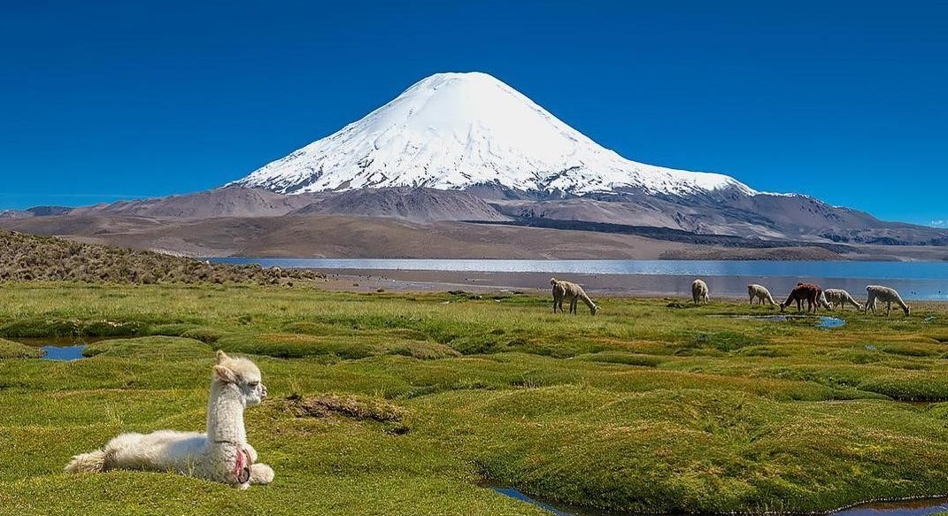 Lago chungará - Chile es TUYO