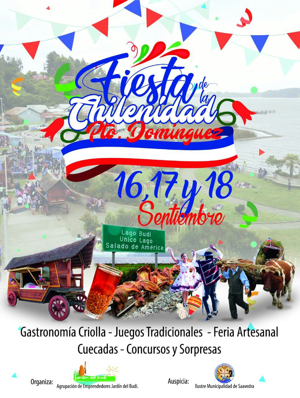 Fiesta de la Chilenidad en Puerto Domínguez - Chile es TUYO