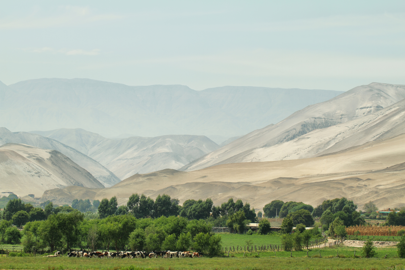 Valles Azapa, Lluta y Codpa - Chile es TUYO