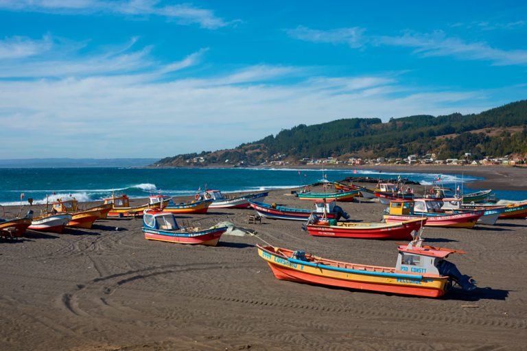 Curanipe - Chile es TUYO