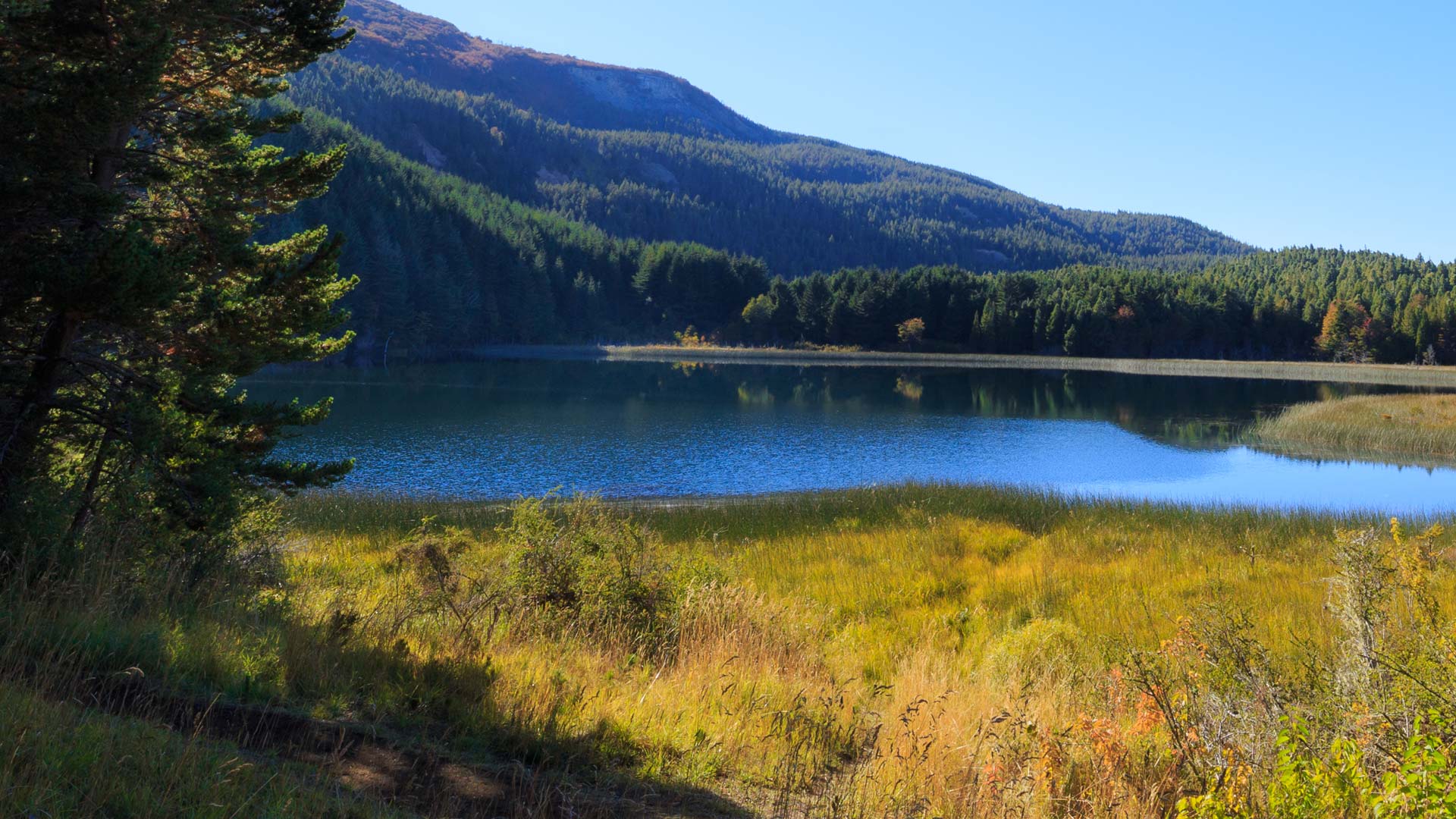 24334_coyhaique_2 - Chile es TUYO