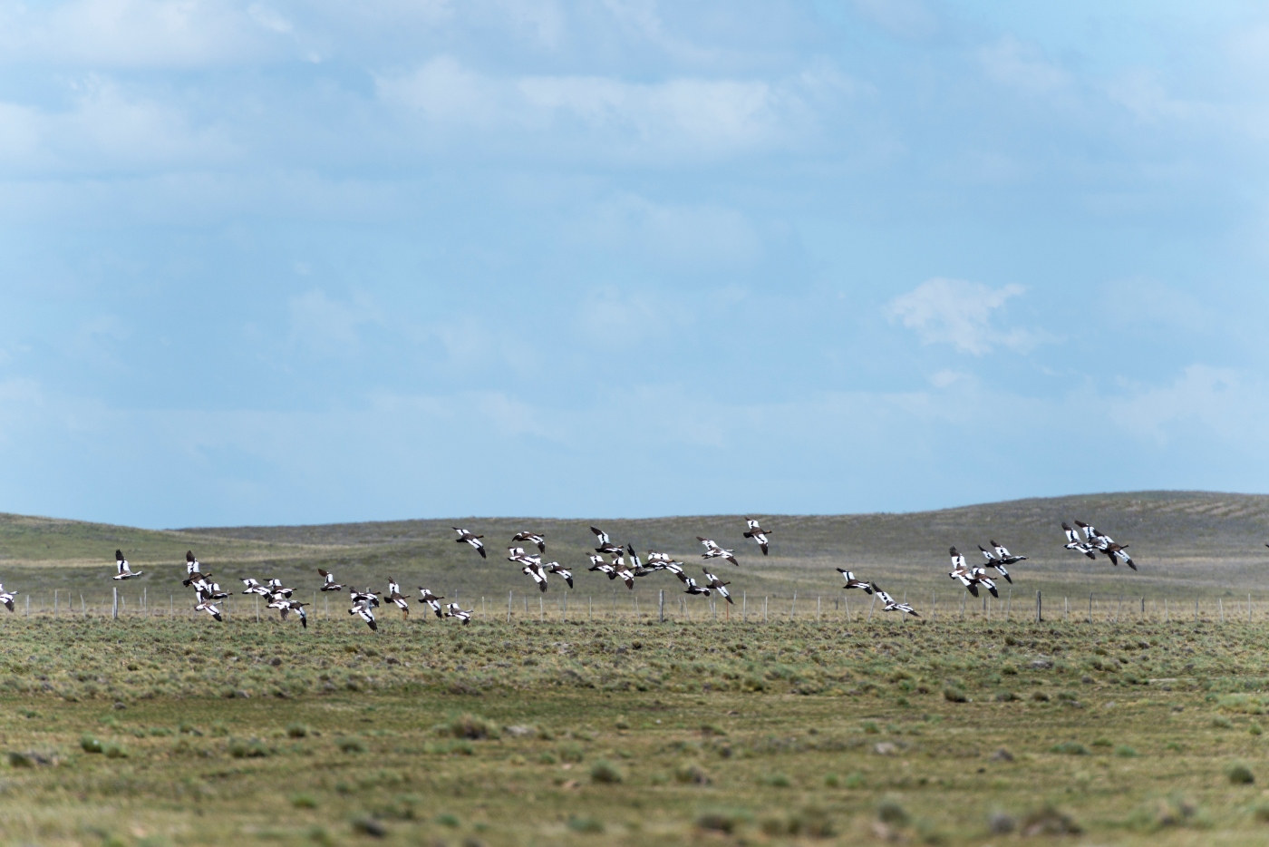 Tierra del Fuego: El territorio más austral de Chile