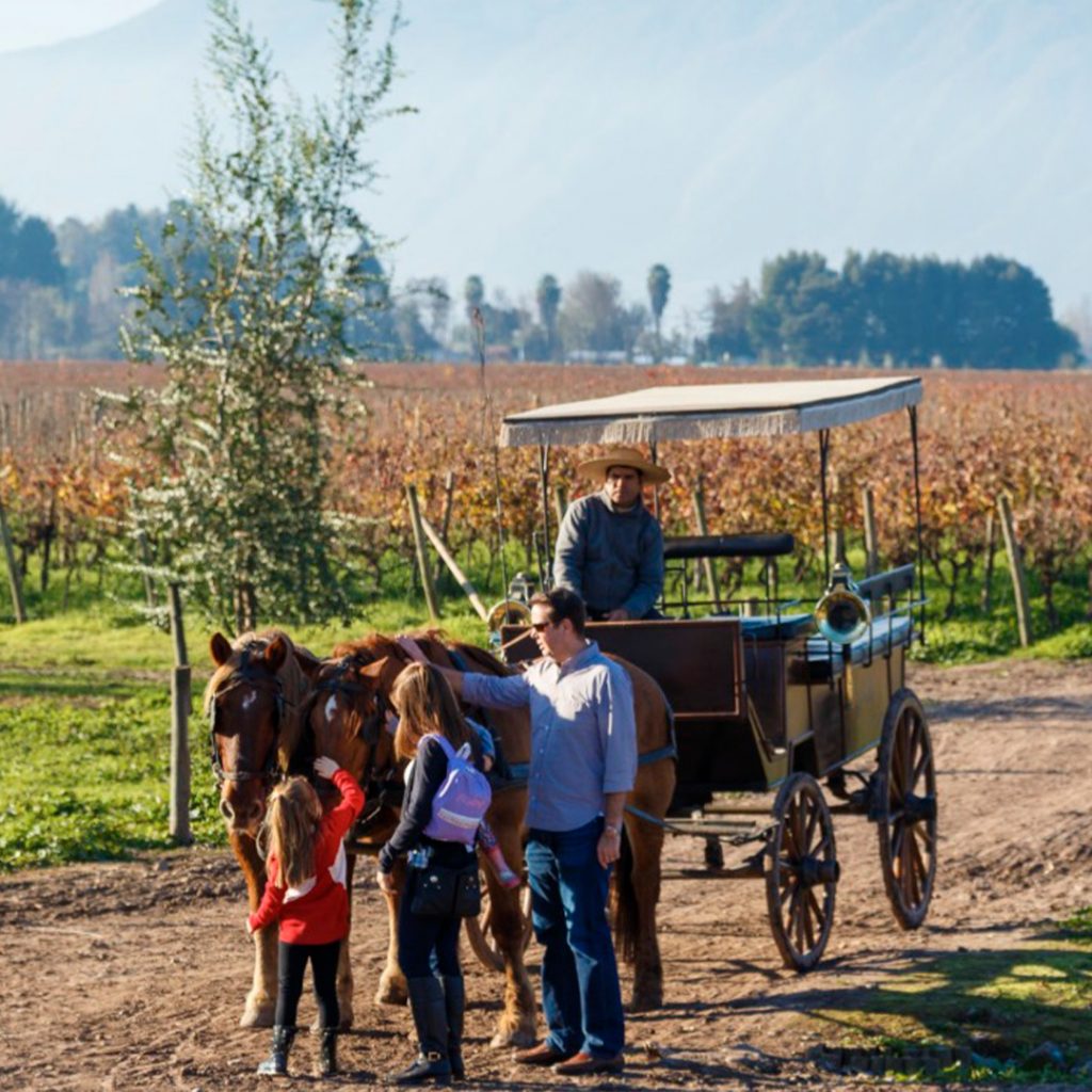 Fiesta de la Vendimia: ¡Salud por la nueva cosecha! - Chile es TUYO